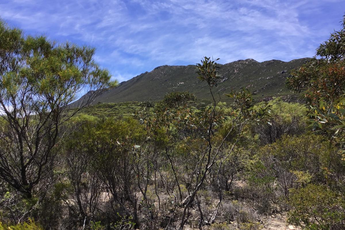 Mount Ragged Mount Ragged